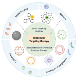In Response to Precision Medicine: Current Subcellular Targeting ...