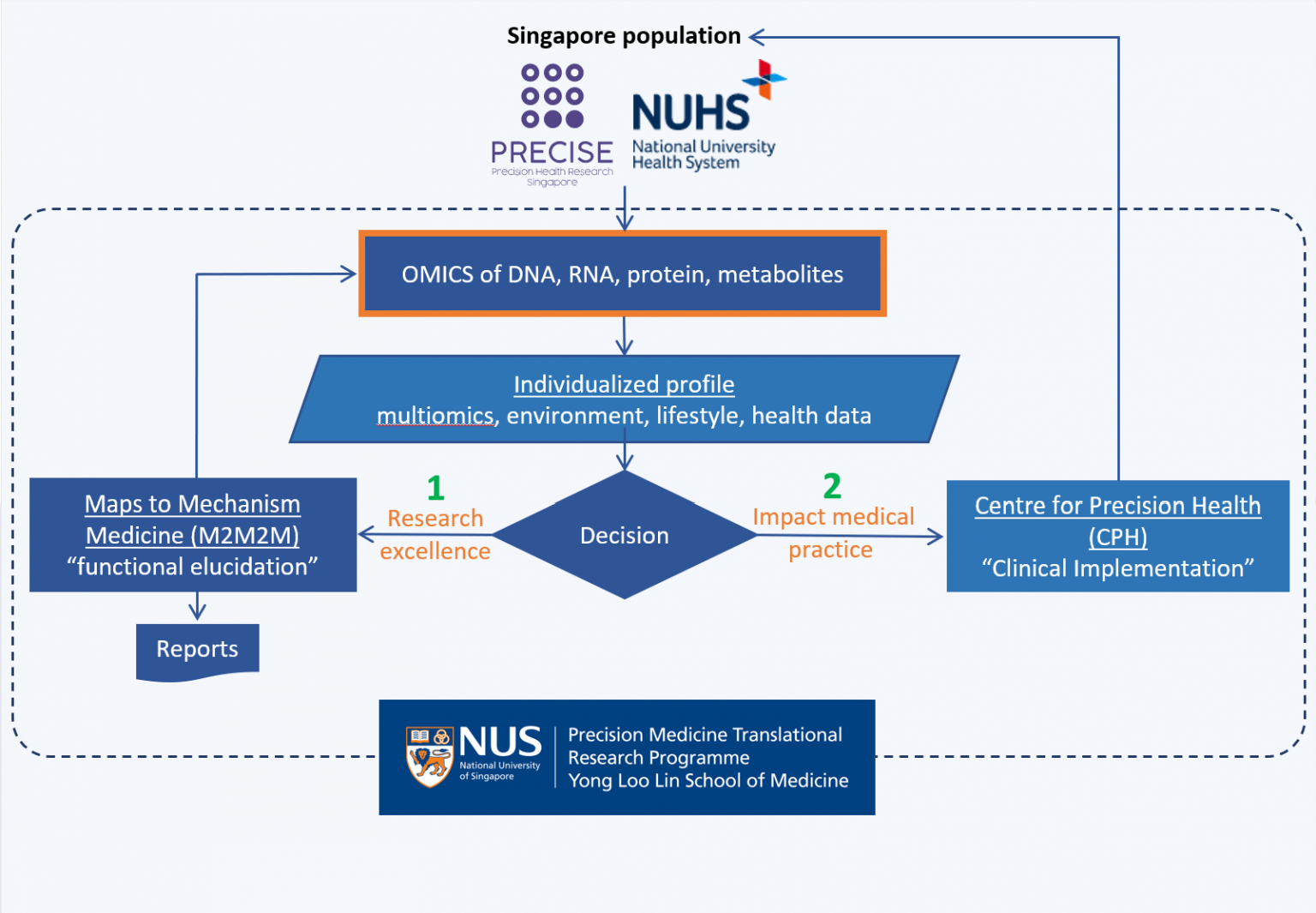 Overview of Programme Structure - Precision Medicine