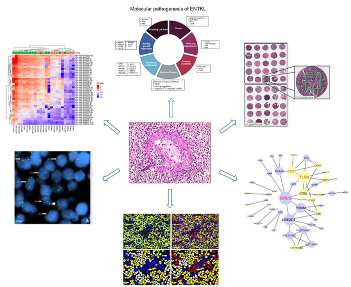 NG Siok Bian - NUS Pathology